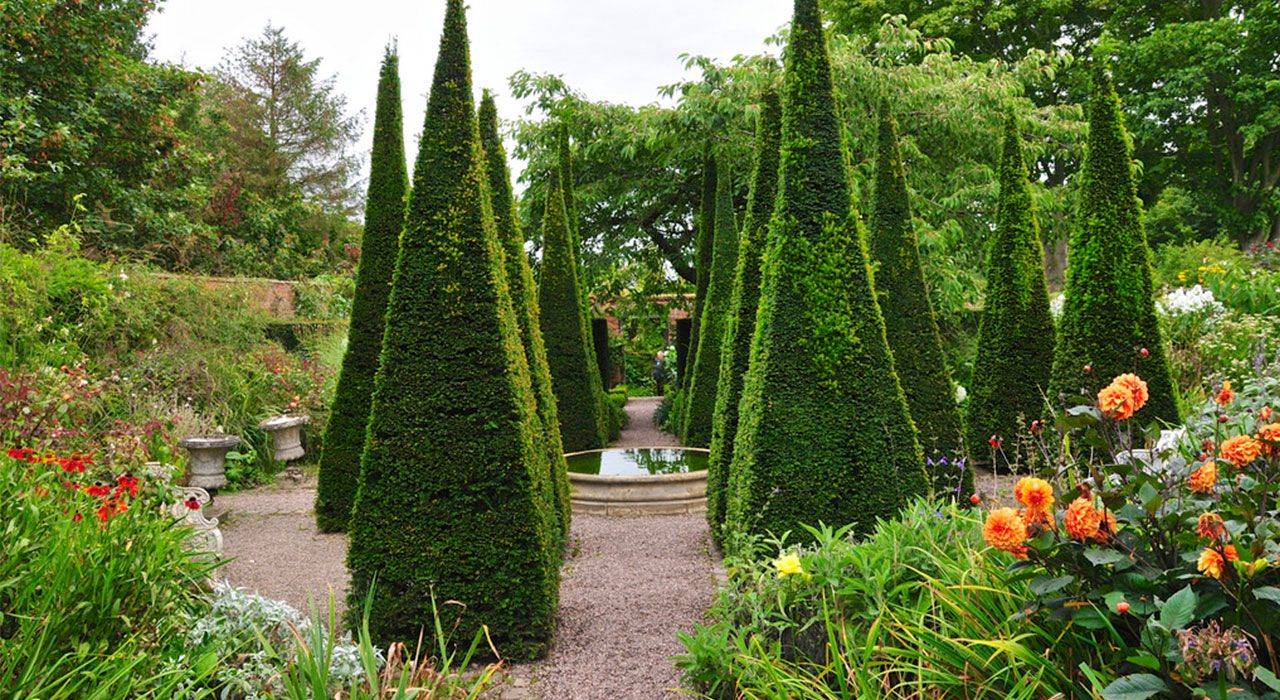 CARING FOR GARDEN STRUCTURES Cambridge Garden Services caring-for-garden-structures-cambridge-garden-services
